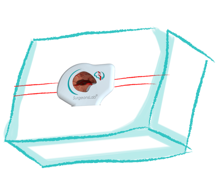 Surgical Simulation Models | Aneurysm Clipping | Surgeonslab