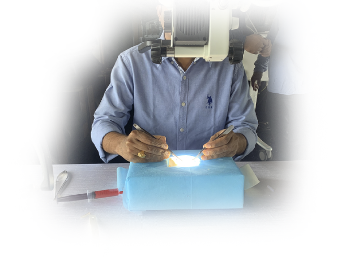 Surgical Simulation Models | Aneurysm Clipping | Surgeonslab